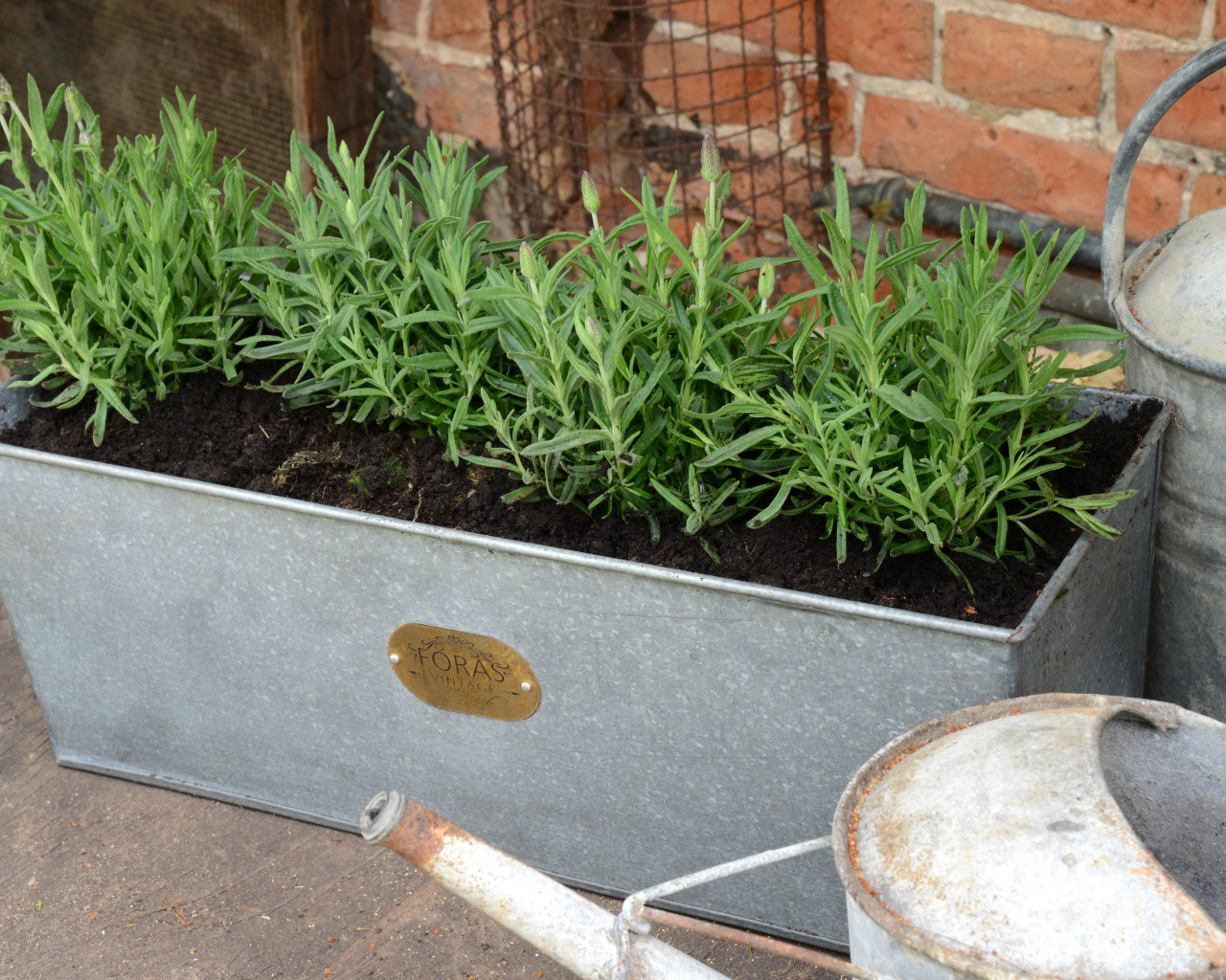 Foras Intwood Vintage Metal Troughs - The perfect gift for any gardener!